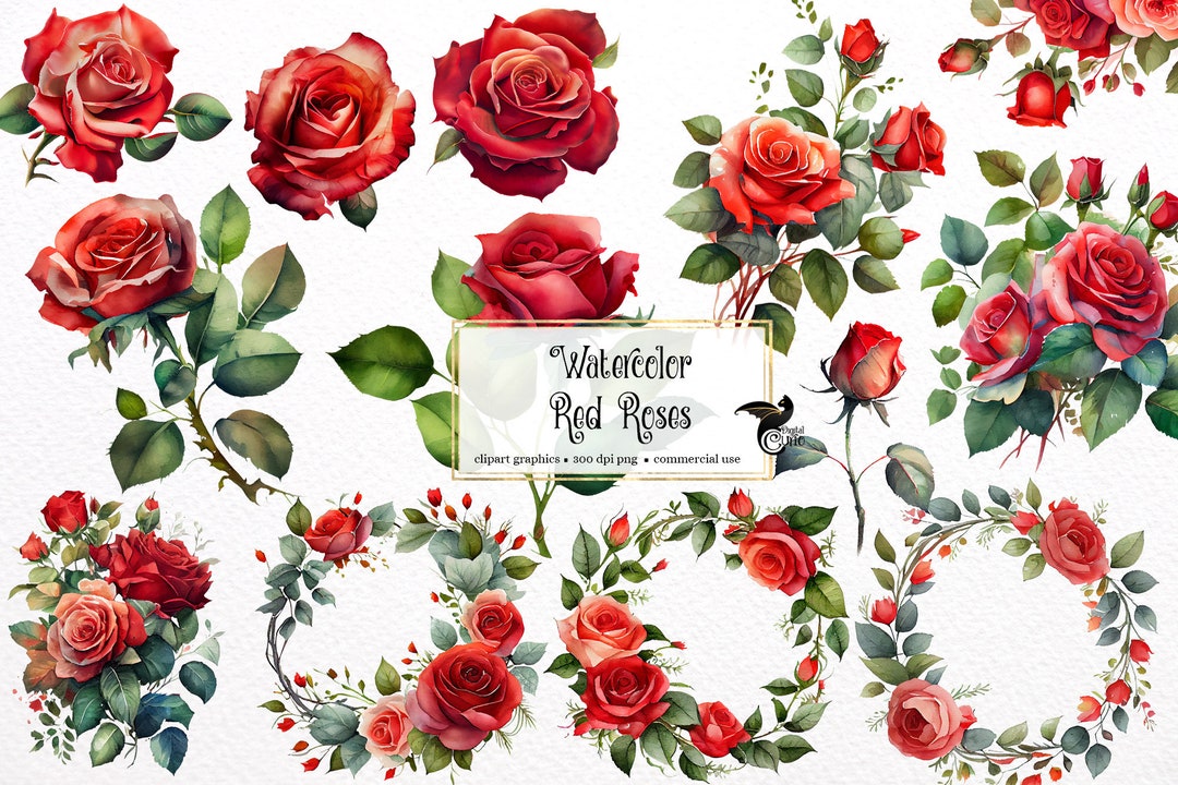 Beautiful Red Rose Clip Art