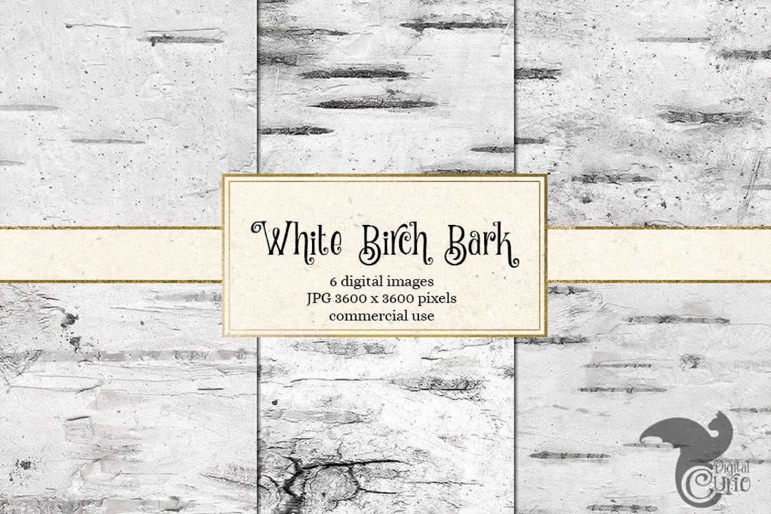 White Birch Bark Digital Paper - Birch Tree Backgrounds, White Wood ...