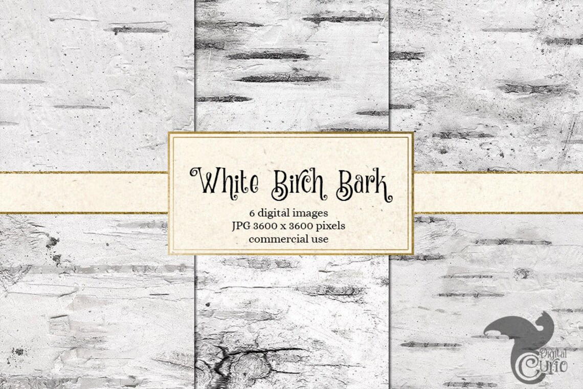 White Birch Bark Digital Paper Birch Tree Backgrounds White | Etsy