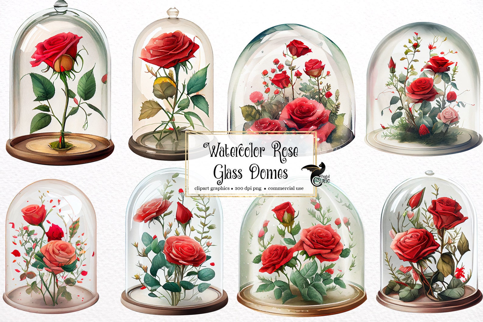 Watercolor Rose Glass Domes Clipart Watercolor Flower - Etsy