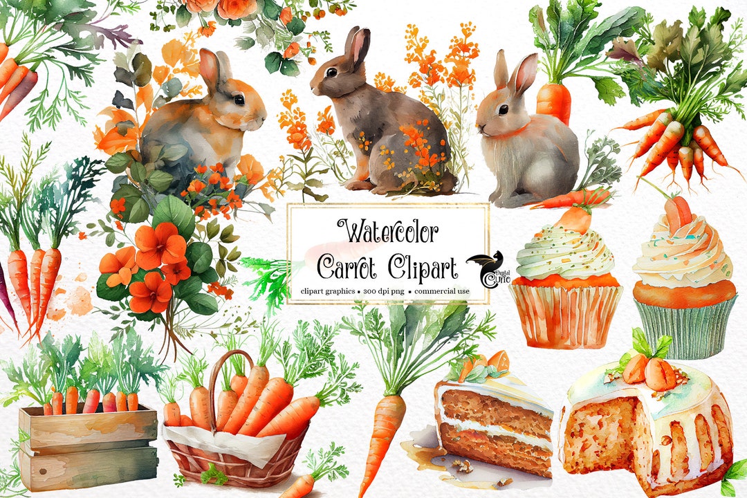 Watercolor Carrot Clipart – Bunny Rabbits & Cake Graphics (digital ...