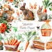 Watercolor Carrot Clipart – Bunny Rabbits & Cake Graphics (digital ...
