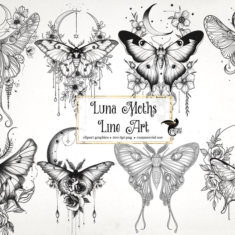 Moth Coloring Sheets - Etsy UK