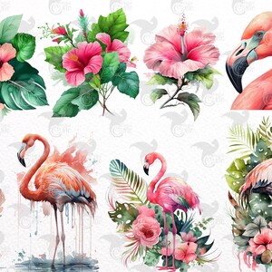 Watercolor Flamingo Clipart - Tropical Birds With Flowers and Leaves in ...