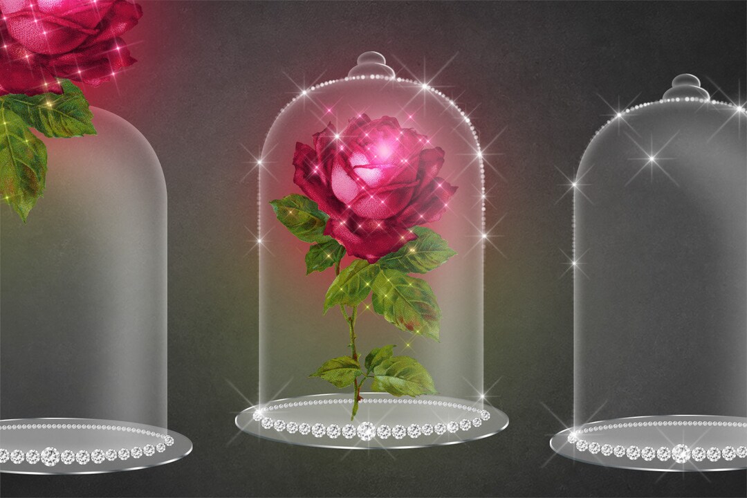 Diamond Rose Display Case Clipart, Fantasy Enchanted Rose (digital ...