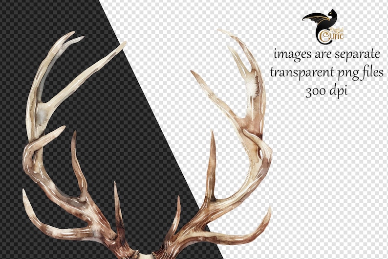 Watercolor Antlers Clipart, Boho Wedding Digital Graphics for ...