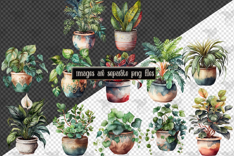 Watercolor Potted Plants Clipart House Plant PNG Format - Etsy