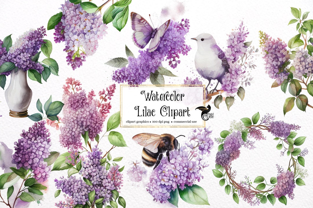 Watercolor Lilac Clipart - Floral PNG Format Instant Download for ...