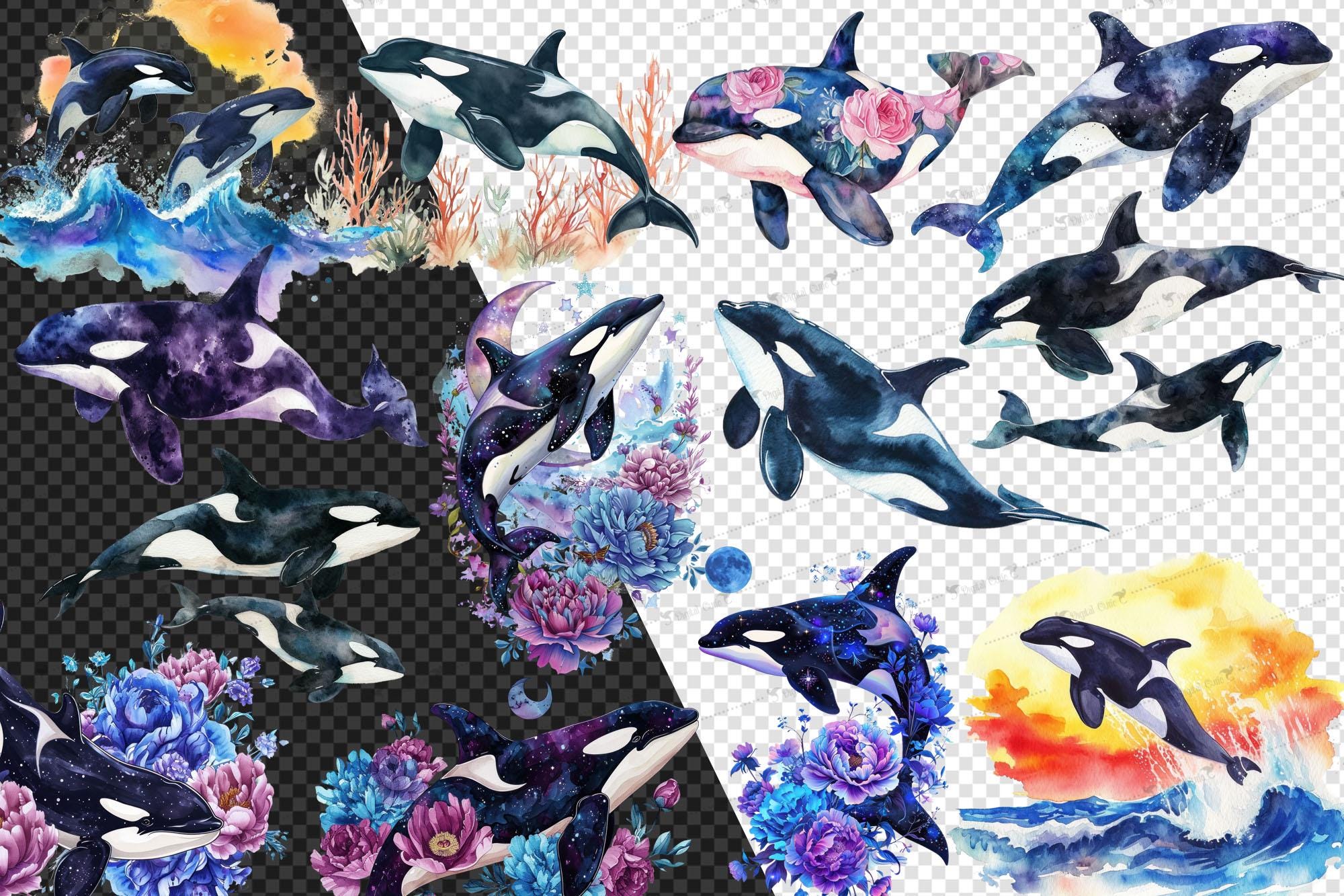 Watercolor Orca Clipart - Ocean Whale Graphics (PNG, Digital Download ...