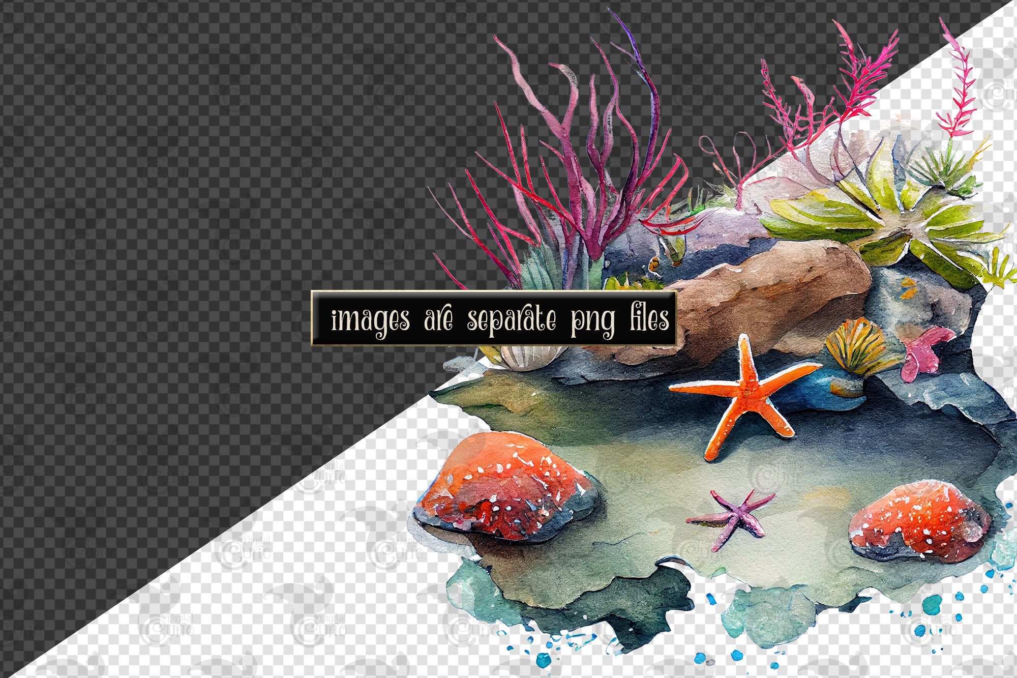 Watercolor Tidepool Clipart - Ocean Seascape Scene PNG Format Instant ...