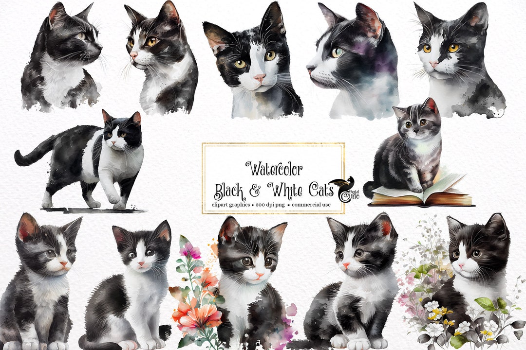 Watercolor Black and White Cats Clipart - Cute Floral Cats and Kittens ...