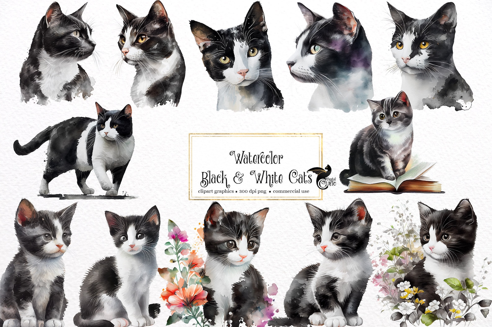 Watercolor Black and White Cats Clipart – Floral Kitten PNG (digital ...