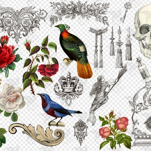 50 Old Things Clip Art - Vintage Antique Objects and Overlays in Png ...