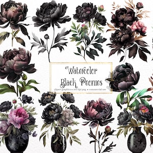 Watercolor Black Peony Clipart - Peonies in PNG Format Instant Download ...