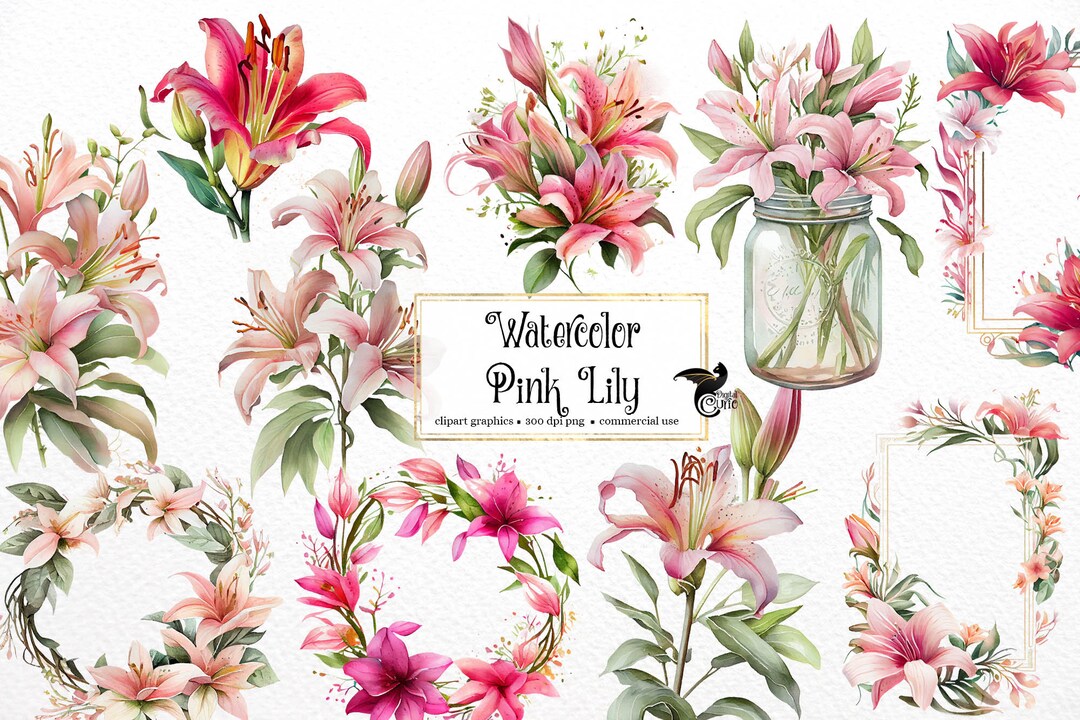 Watercolor Pink Lily Clipart - Lilies in PNG Format Instant Download ...