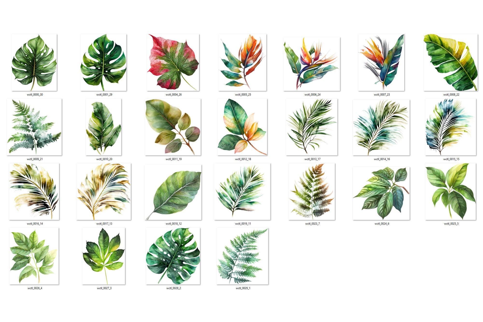 Watercolor Tropical Leaves Clipart Tropical Leaf PNG Clip Art - Etsy ...
