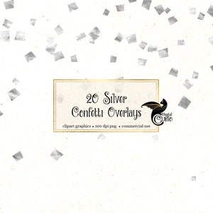 20 Silver Confetti Overlays in PNG Format With Transparent Backgrounds ...