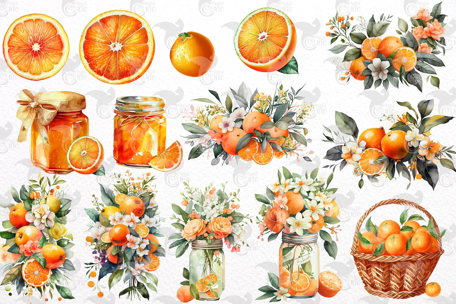 Watercolor Oranges Clipart - Digital Png Citrus, Graphics for Instant ...