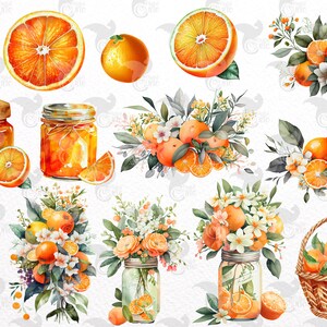 Watercolor Oranges Clipart - Digital Png Citrus, Graphics for Instant ...