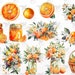 Watercolor Oranges Clipart - Digital Png Citrus, Graphics for Instant ...