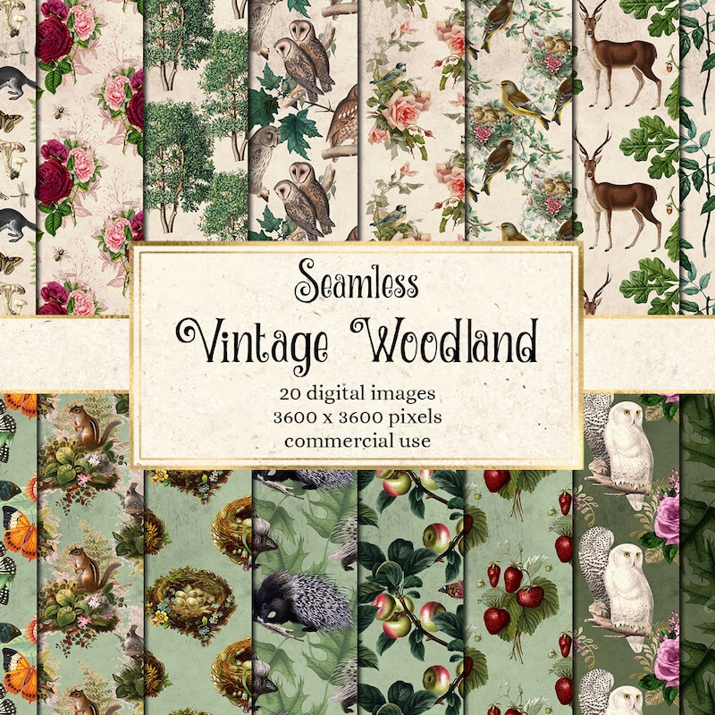 Woodland Paper - Etsy