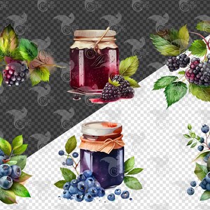 Watercolor Berry Jam Clipart - Digital Png Strawberry, Blackberry ...