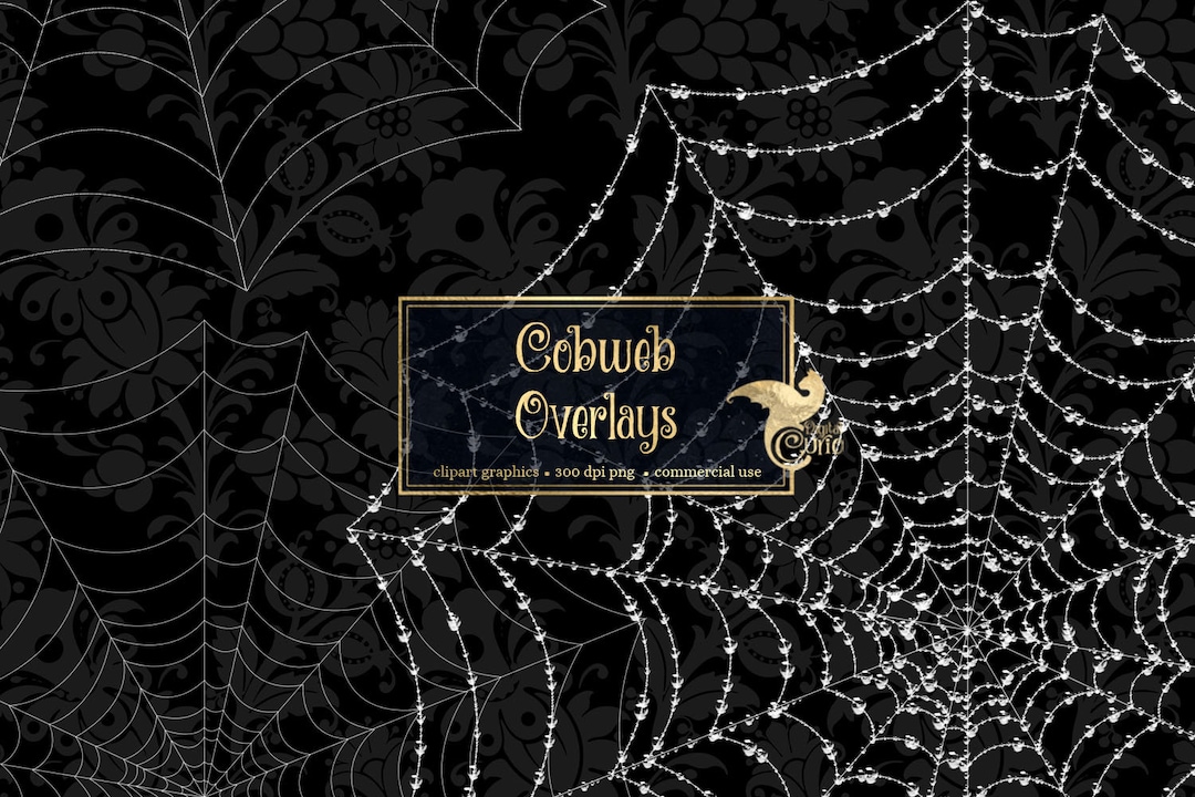Cobweb Overlays and Spider Web Clipart, Digital PNG Halloween Graphics ...