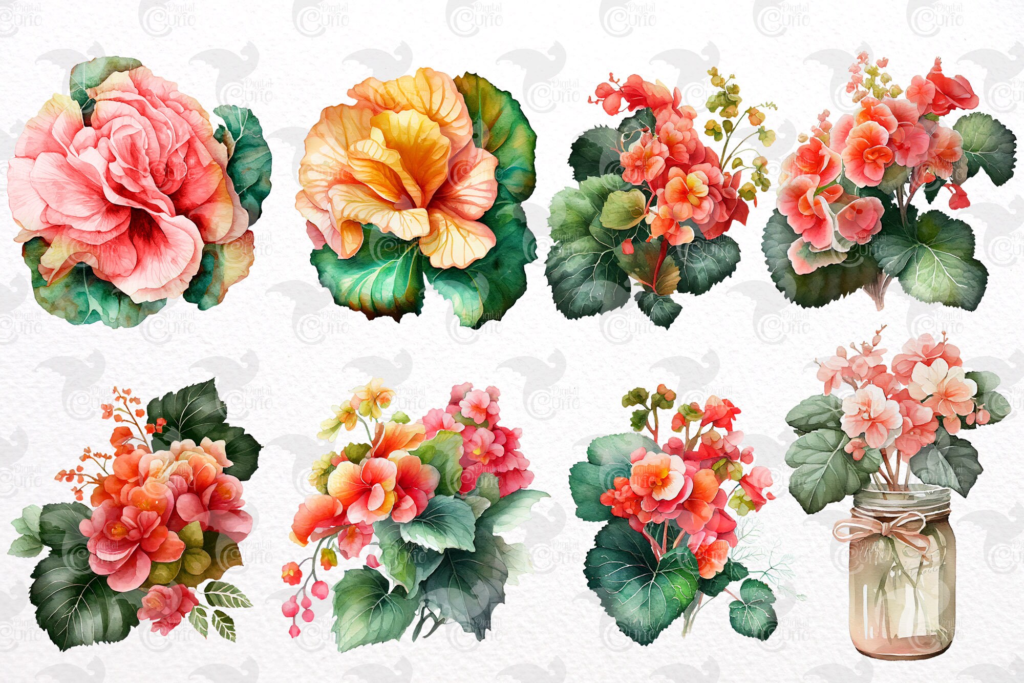 Watercolor Begonias Clipart - Begonia Floral Bouquets PNG Format ...