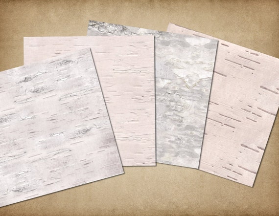 Paper Birch Bark Pattern