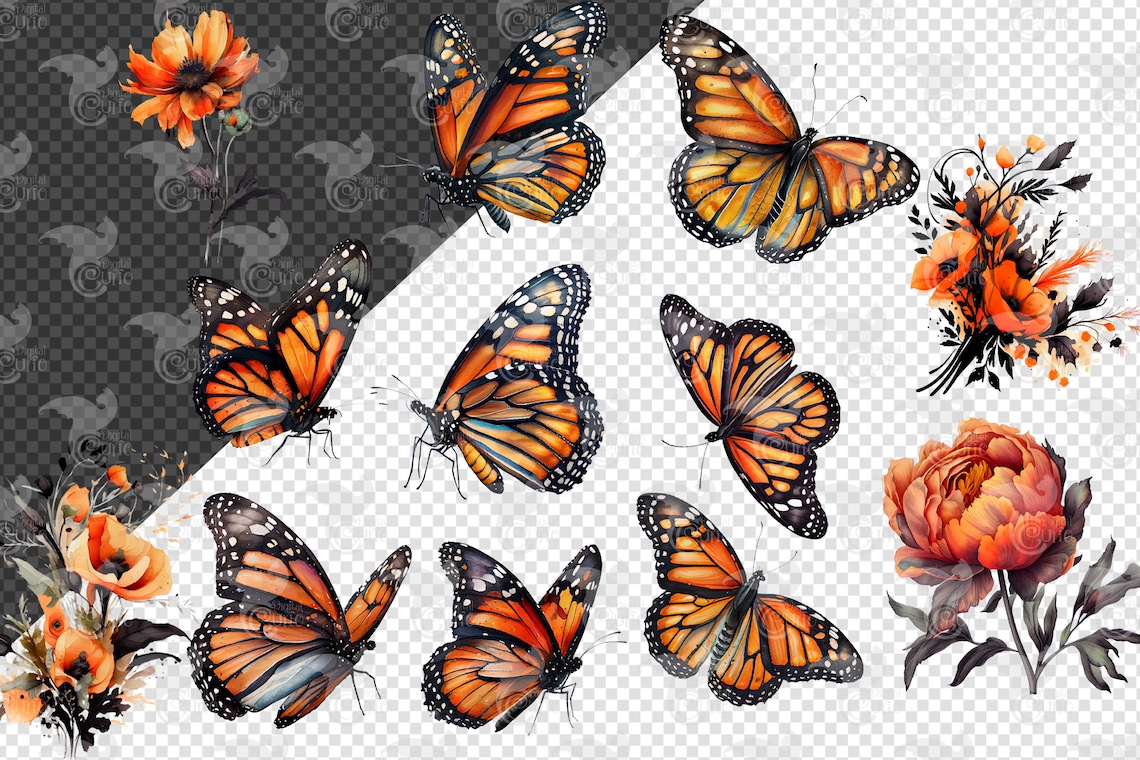 Watercolor Monarch Butterfly Clipart – Orange Floral PNG (digital ...