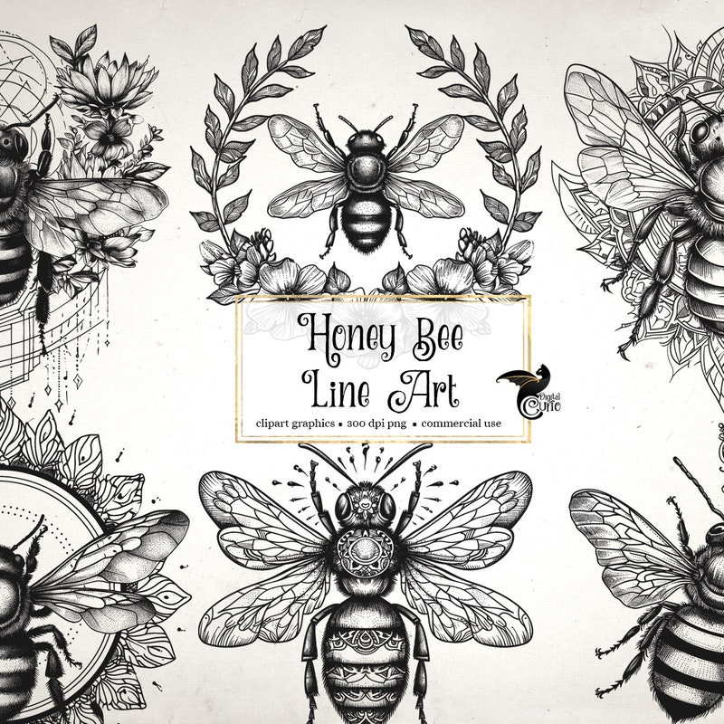 Bee Clip Art - Etsy