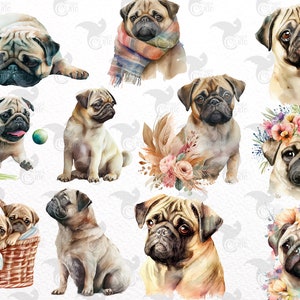 Watercolor Pugs Clipart - Cute Pug Dogs and Puppies PNG Format Instant ...