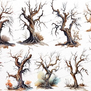 Watercolor Tree Trunks Clipart - Dead Tree PNG Format Instant Download ...