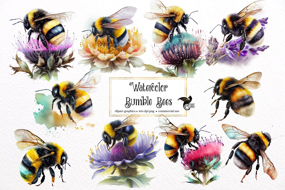 Watercolor Bumble Bee Clipart, Spring Garden Bee Clip Art PNG Graphics ...