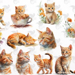 Watercolor Orange Cats Clipart - Cute Floral Tabby Cats and Kittens ...