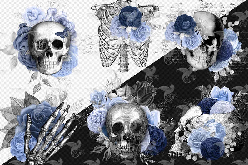 Blue Floral Skull Elements, Antique Illustrations of Human Skulls and ...