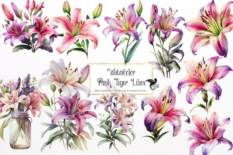 Watercolor Pink Tiger Lily Clipart - Lilies in PNG Format Instant ...