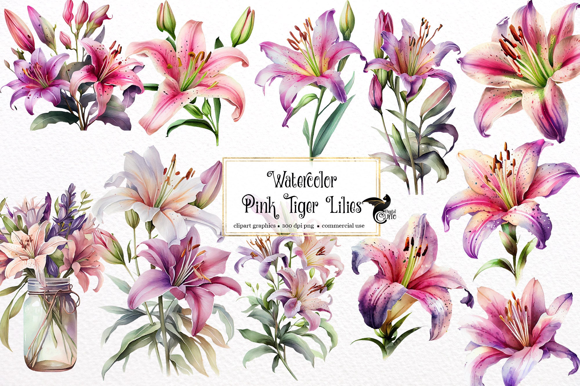 Free Pink Lily Clipart