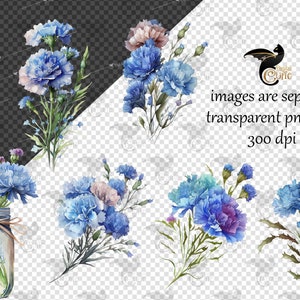 Watercolor Blue Carnation Clipart - Floral Graphics in PNG Format ...