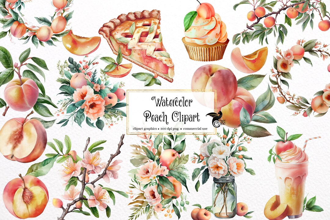 Watercolor Peaches Clipart - Digital Png Peach Graphics for Instant ...