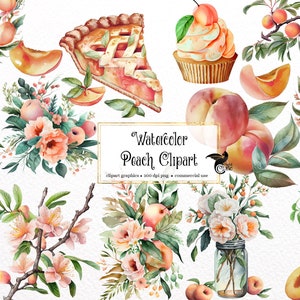 Watercolor Peaches Clipart Digital Png Peach Graphics for Instant ...