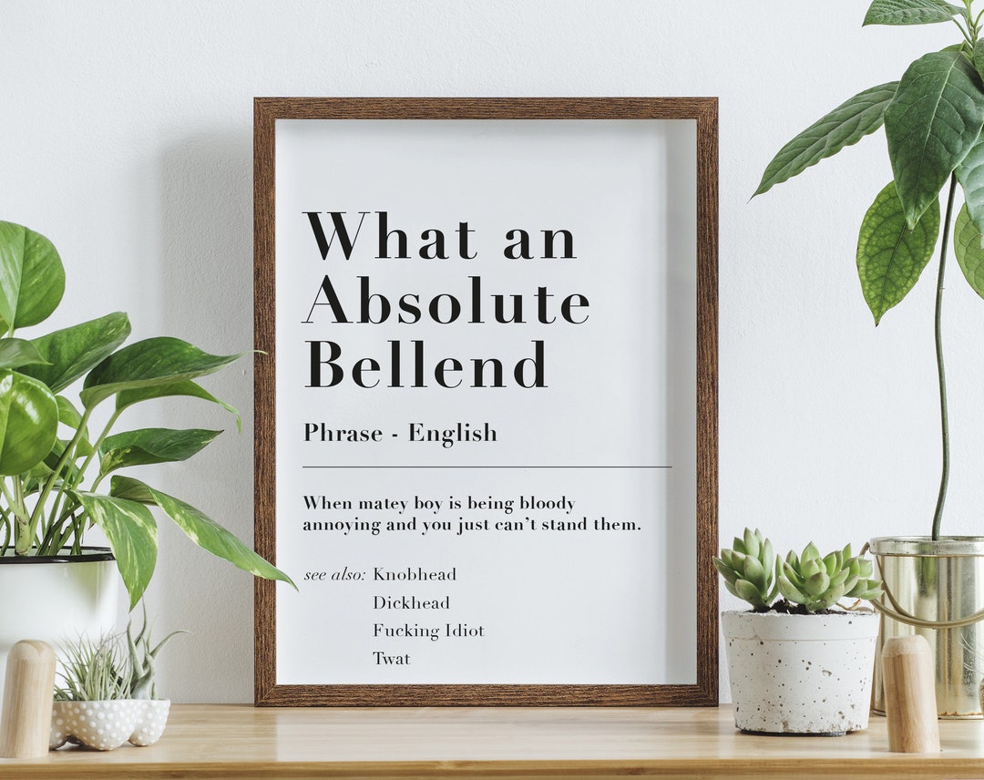 What an Absolute Bellend! British Funny Dictionary Quote Print ...