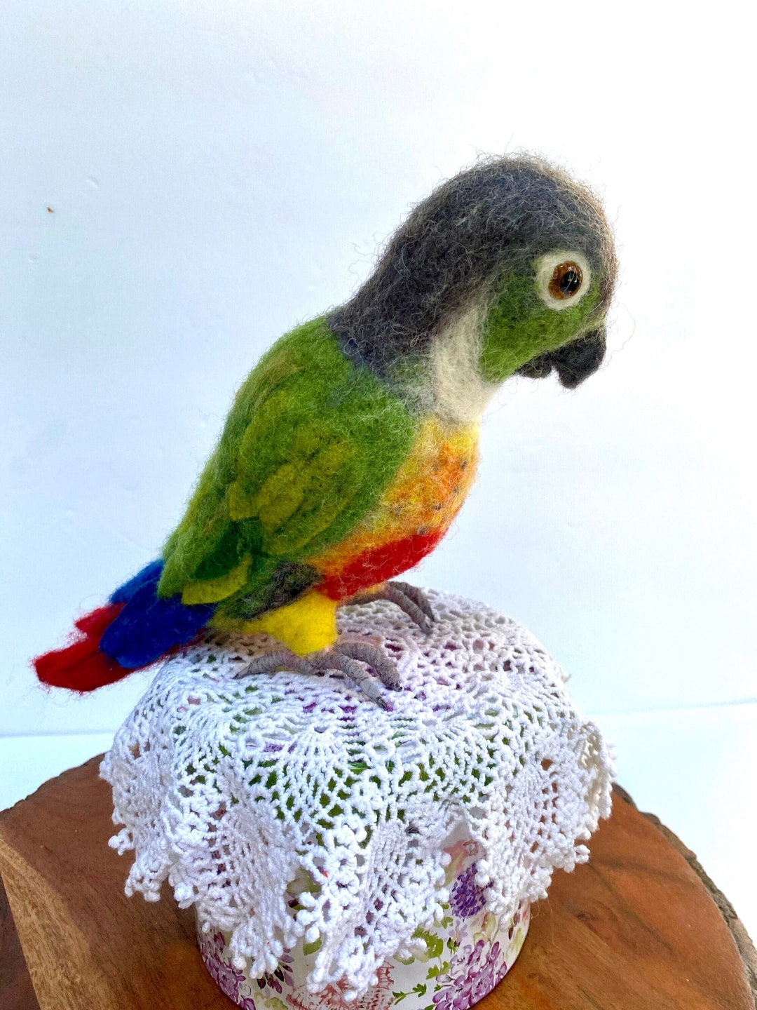 Needle Felted Parrot, Wool Parrot, Conure, Felted, Bird, Soft Sculpture ...