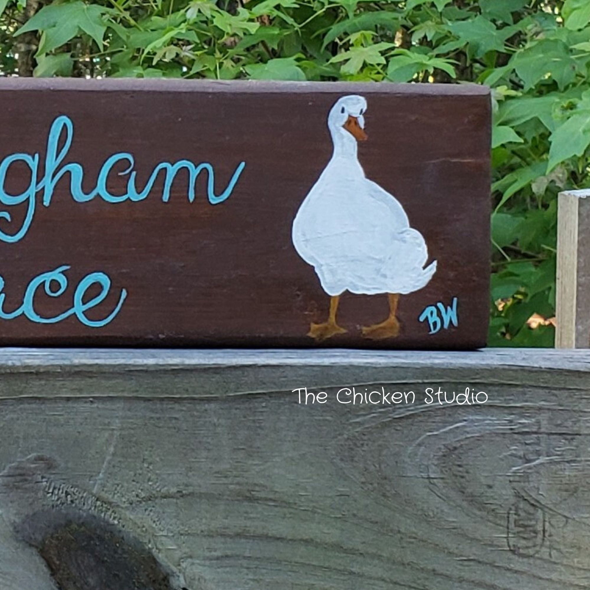 Duck sign Duckingham Palace duck decor duck house sign | Etsy