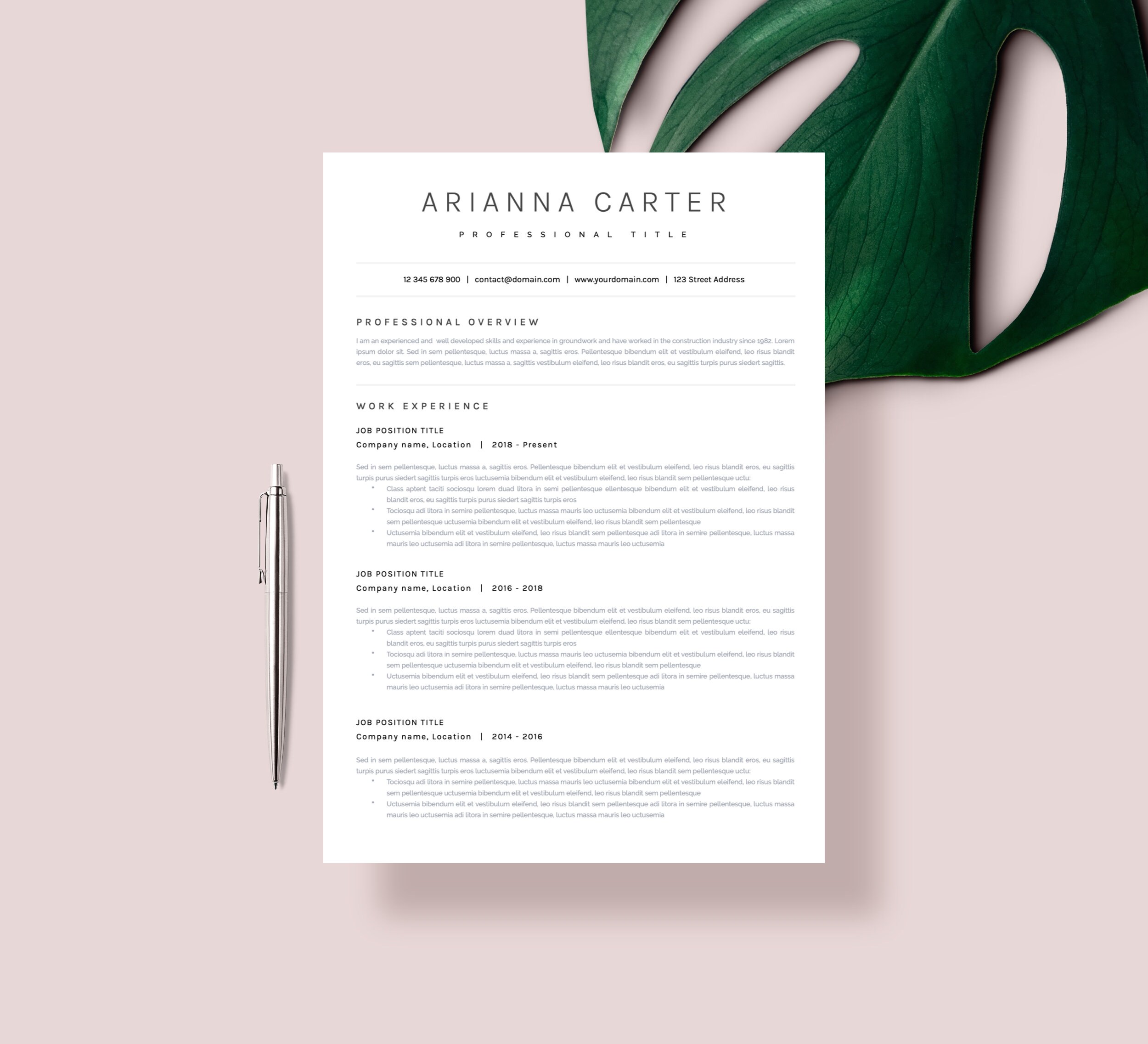 Professional Resume Template Word, Apple Pages Resume Template, CV ...