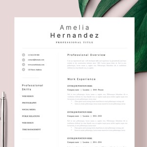 Clean Simple Resume Template Word and Pages, CV Template Word, Basic ...
