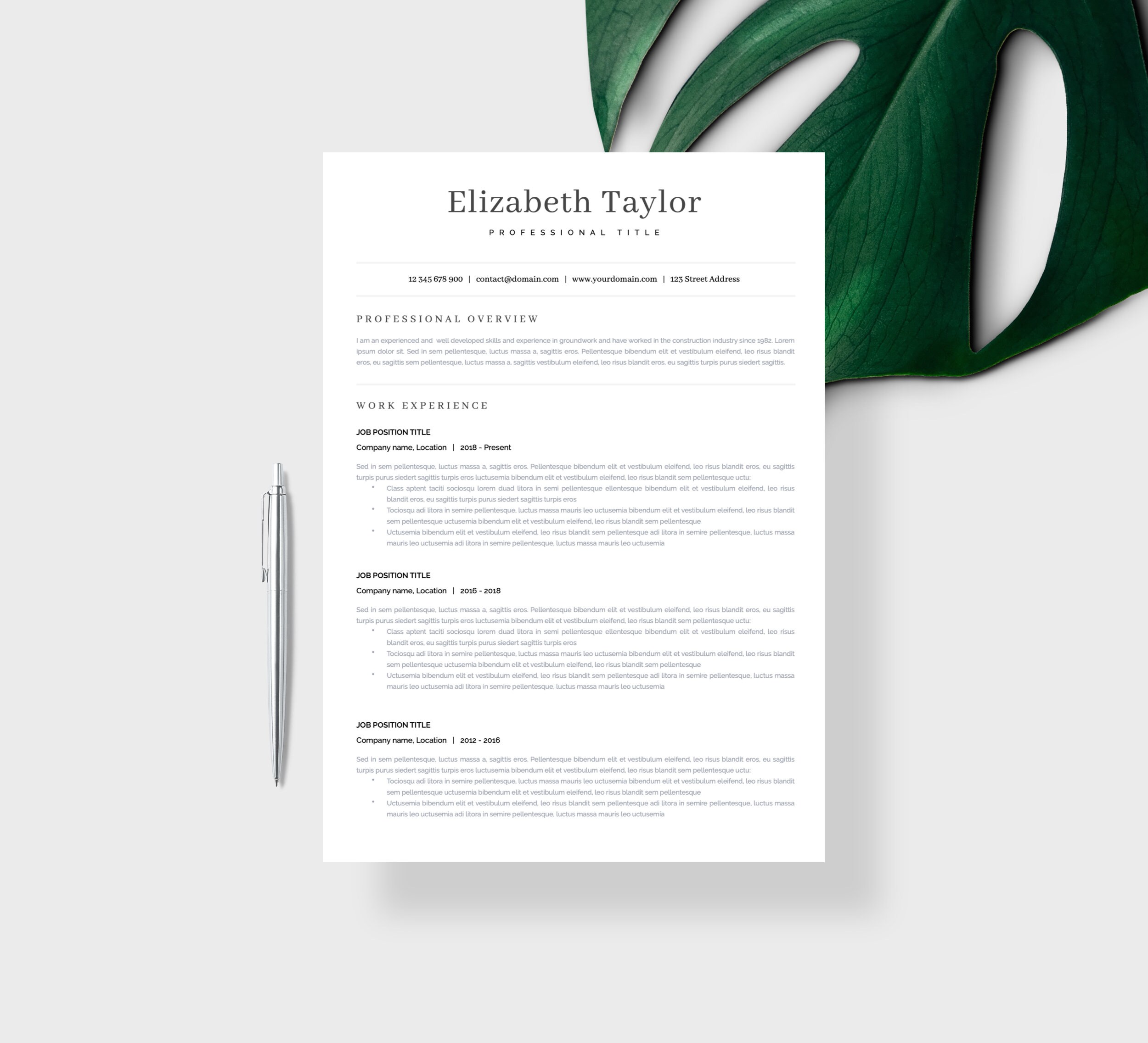 Executive Resume Template for Word and Mac Pages, Clean Modern ...