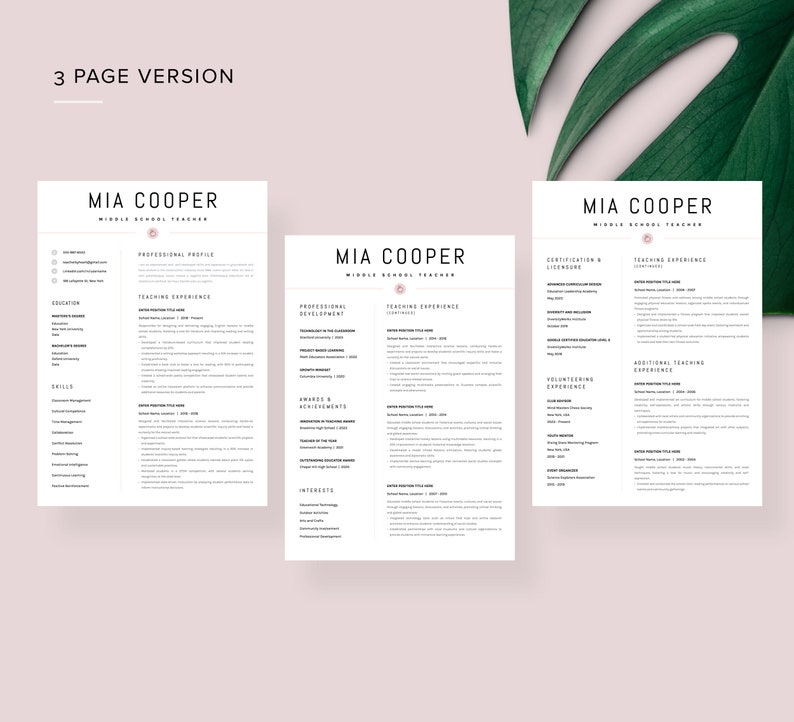 Elementary School Teacher Resume Template Pink Resume Template Teaching ...