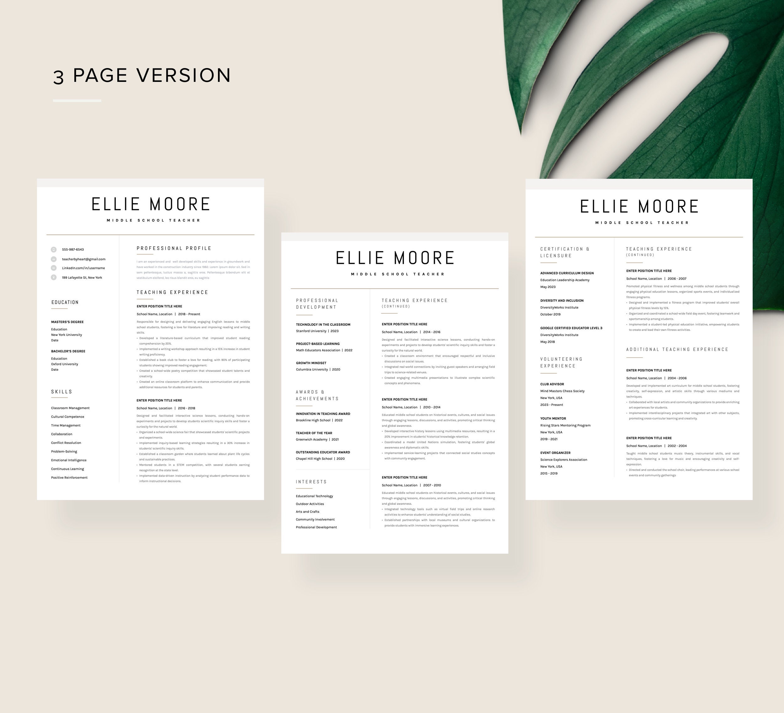 Teacher Resume Template Word and Pages Teaching Resume Template Resume ...