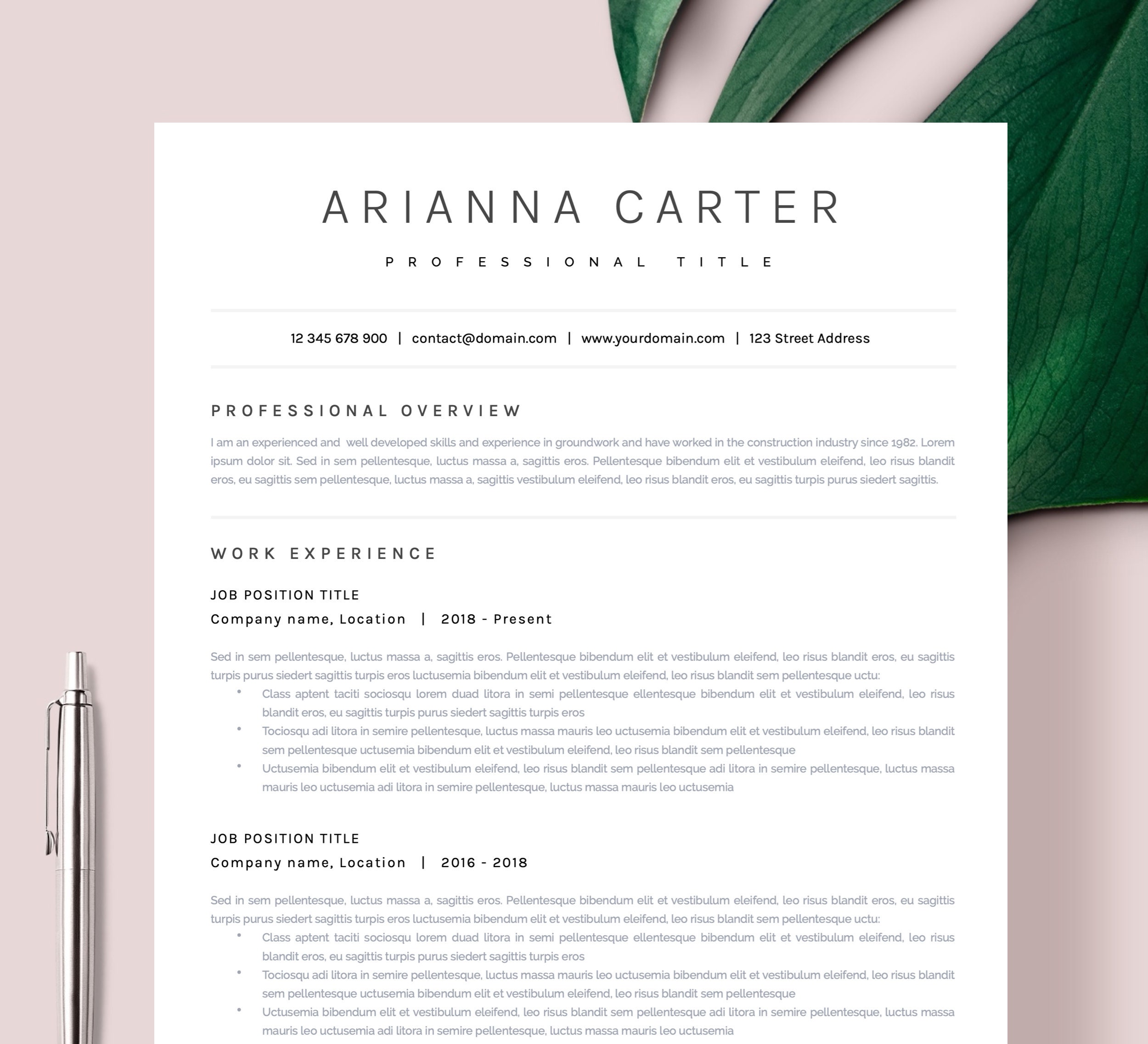 Professional Resume Template Word, Apple Pages Resume Template, CV ...
